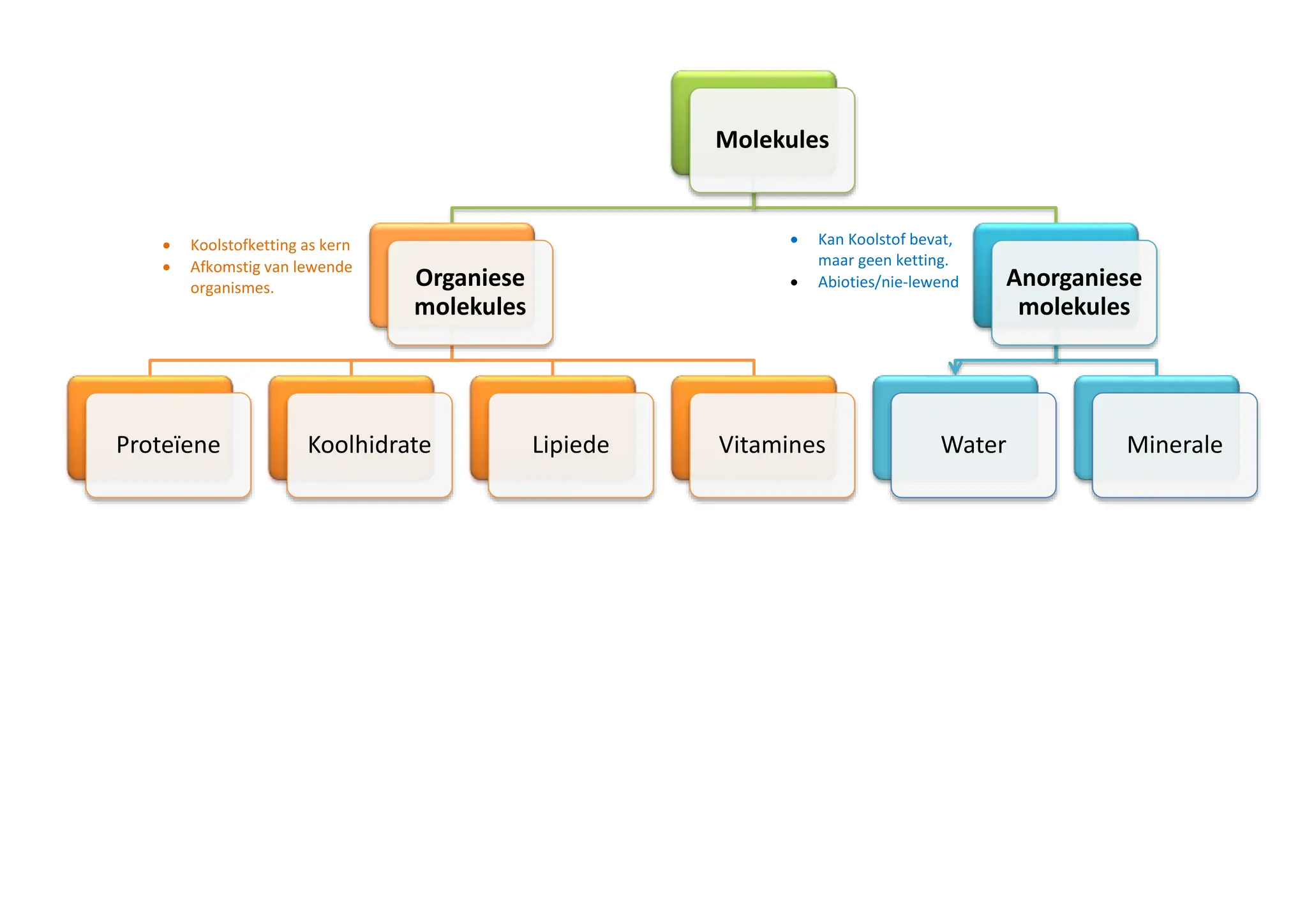 Organiese molecules and their functions. | PPT