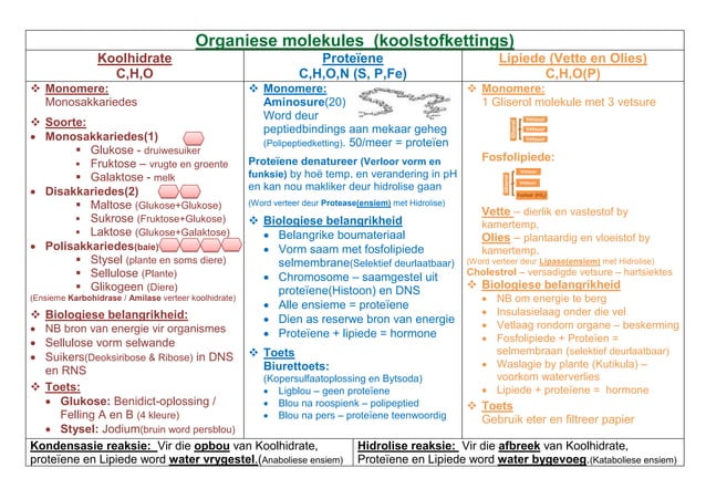 Organiese molecules and their functions. | PPT