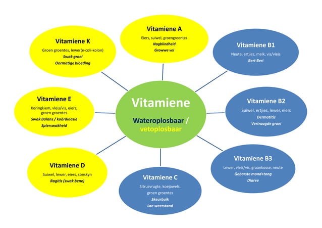 Organiese molecules and their functions. | PPT