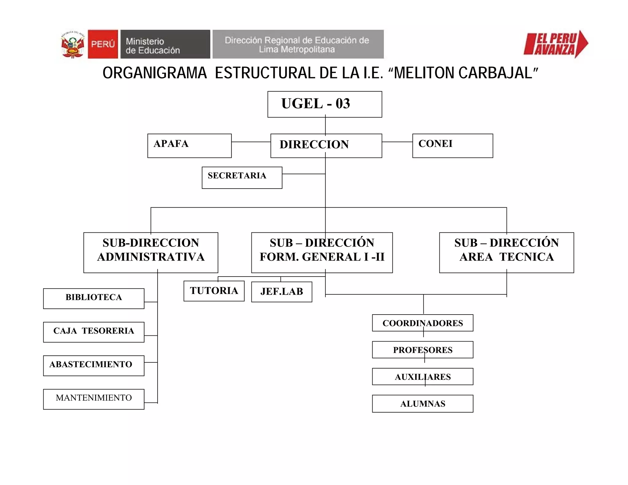 Organigrama estructural | PDF