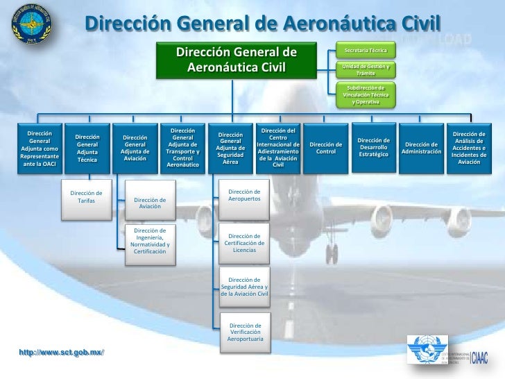 Organigrama dgac