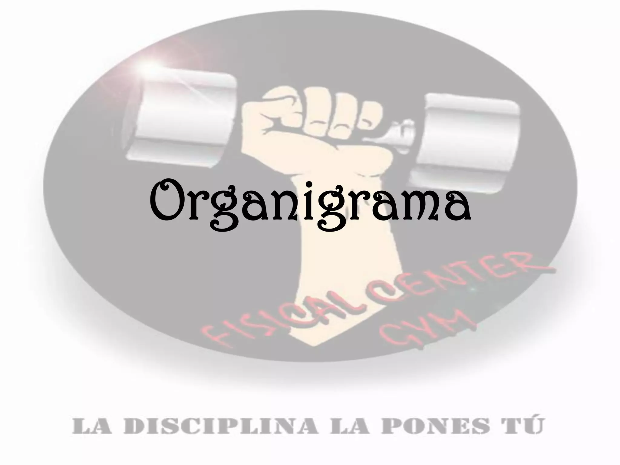 Organigrama gym | PDF