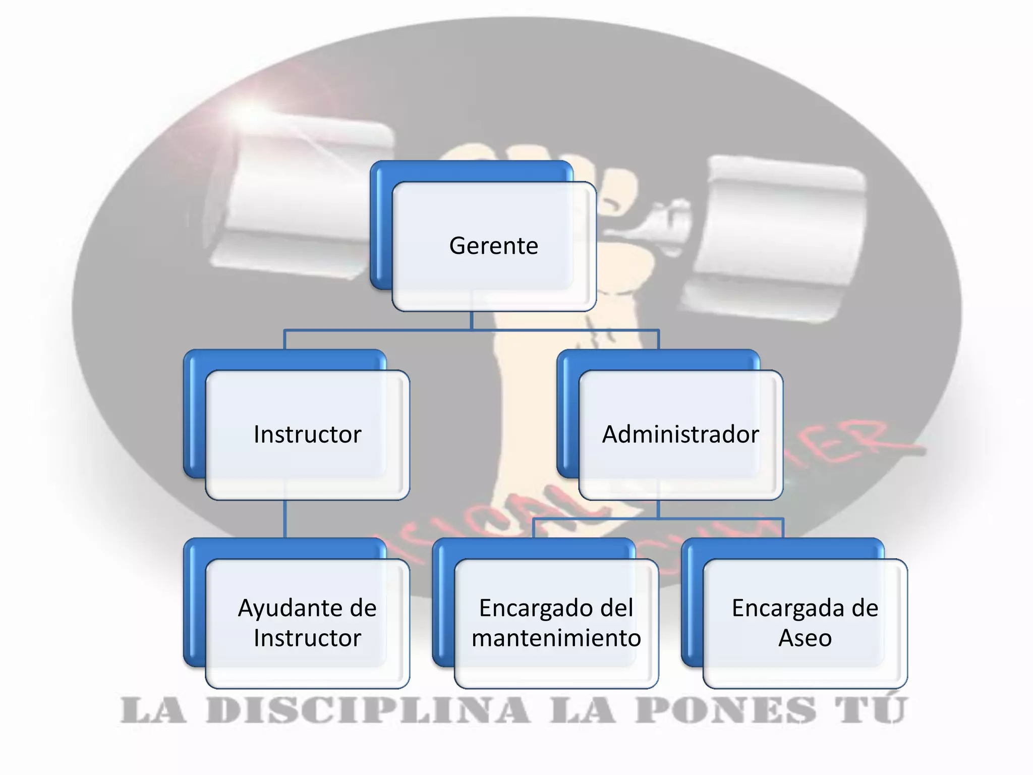 Organigrama gym | PDF