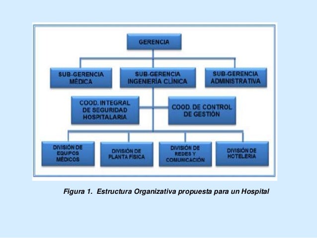 Organigrama hospitalario