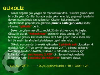 Organik moleküllerin solunumla yikilarak enerji elde edilmesi | PPT