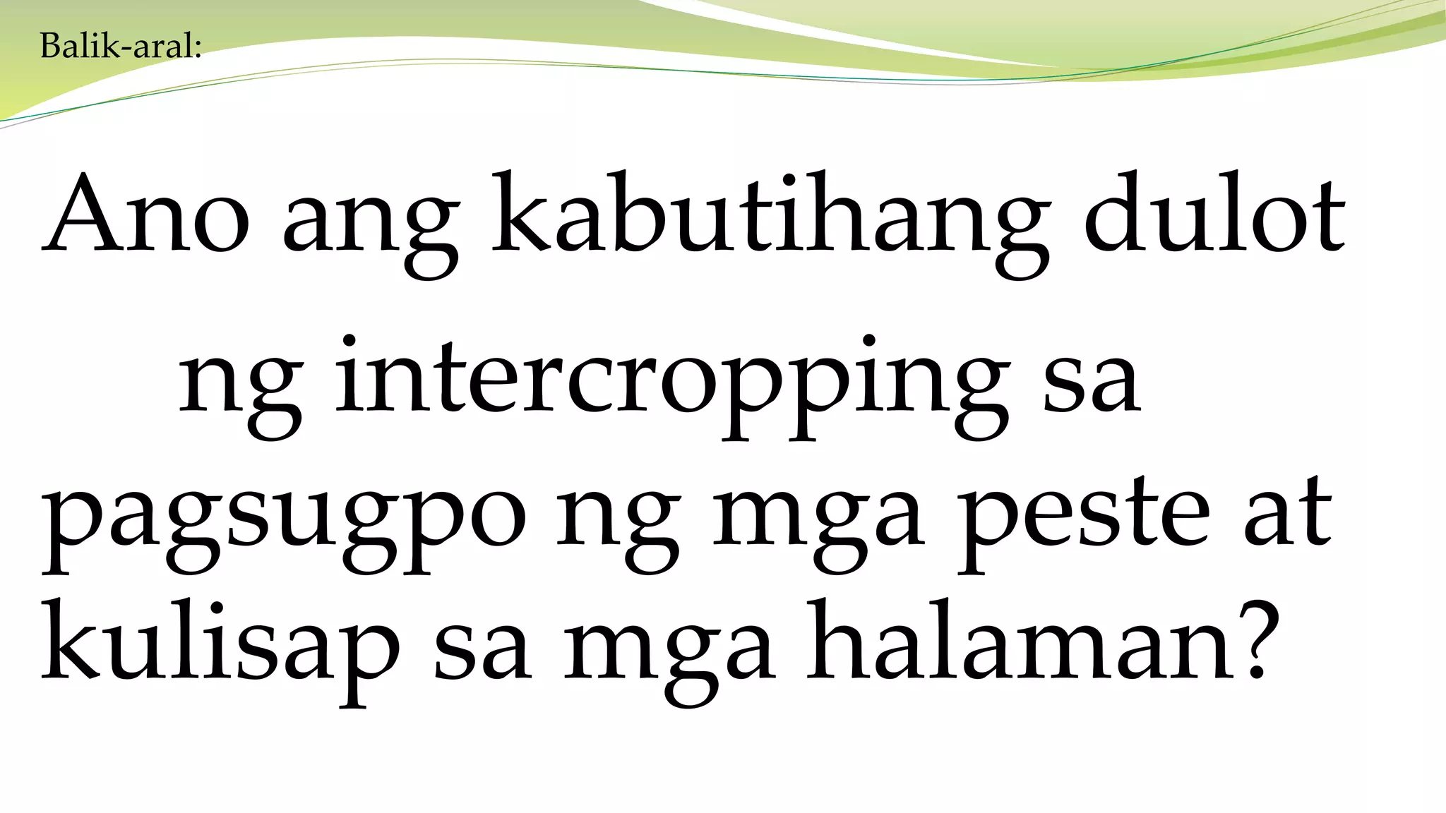 EPP 5- AGRI - Organikong pagsugpo ng peste at kulisap ppt | PPTX