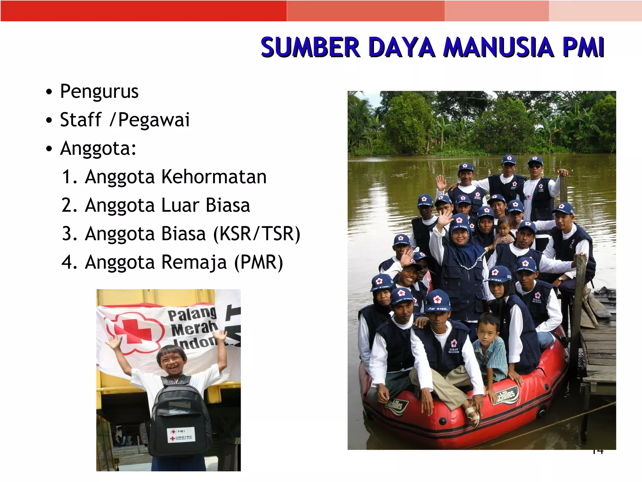 Organisasi - Kebijakan pmi | PPT