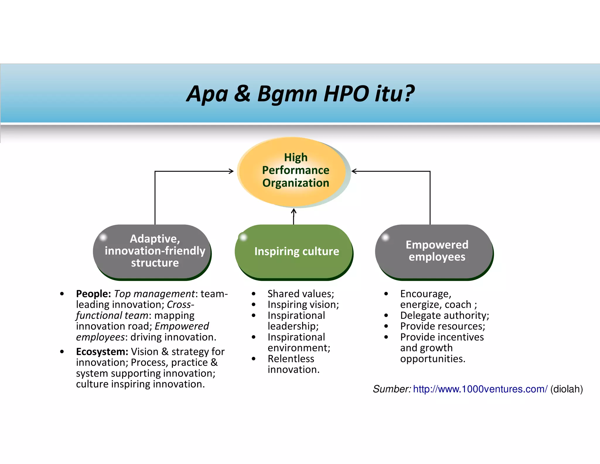 Organisasi Berkinerja Tinggi (High Performance Organization) | PDF