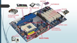 Central Processing Unit (CPU) | PPT