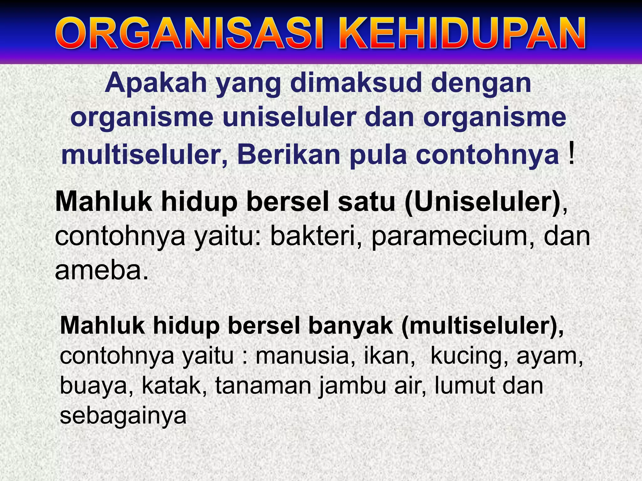 Organisasi Kehidupan | PPTX