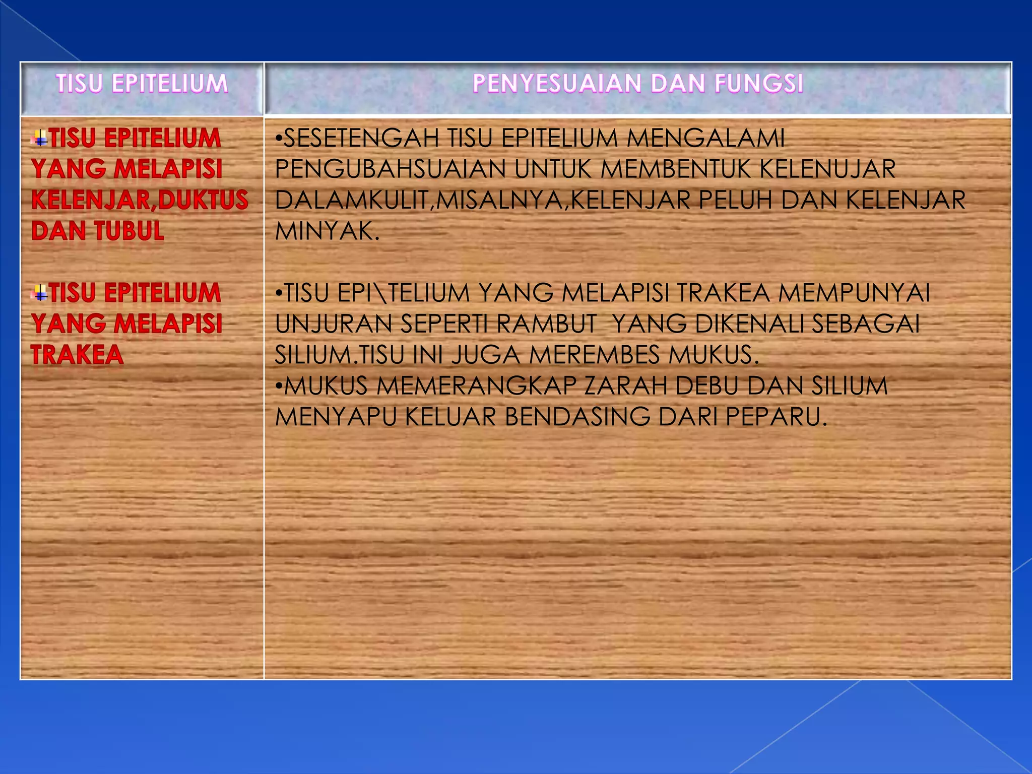 Organisasi sel tisu (farah) | PPTX