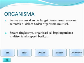 Organisasi sel badan manusia | PPT