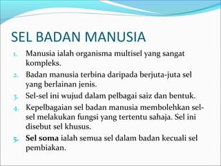 Organisasi sel badan manusia | PPT