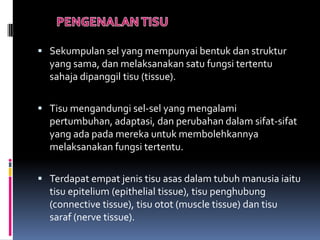Organisasi sel dalam tubuh manusia | PPTX