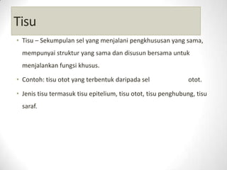 2.3 Organisasi Sel | PPTX