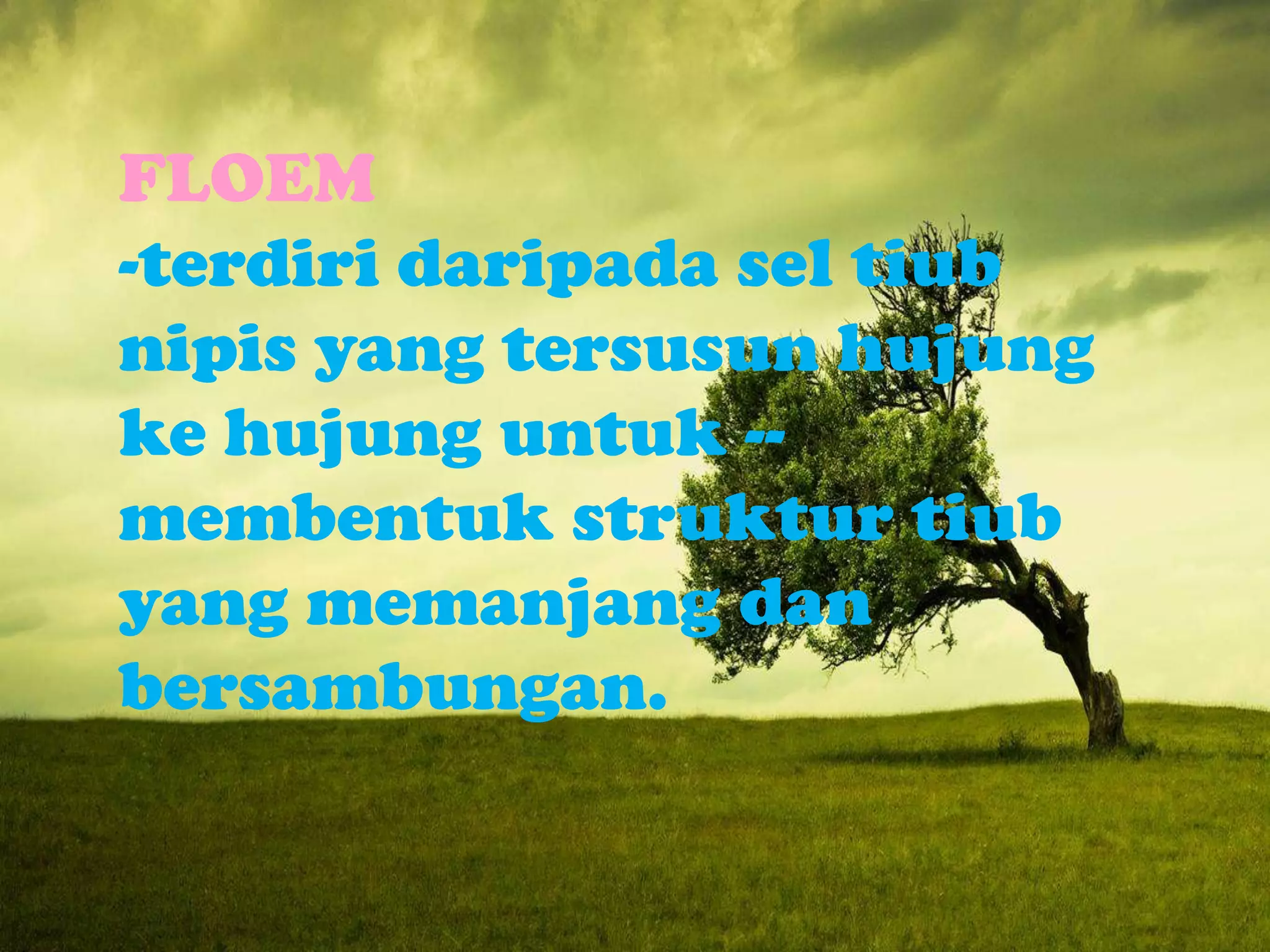 Organisasi Tumbuhan (Murugan Genesan DB 100739 (S4) | PPTX