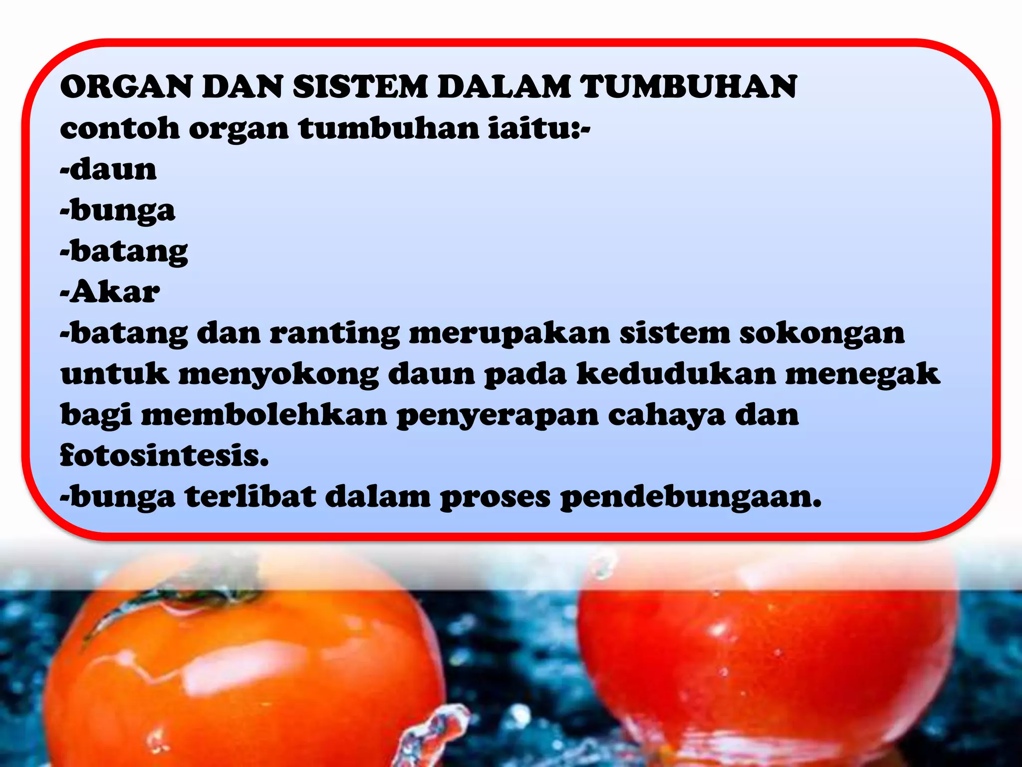 Organisasi Tumbuhan (Murugan Genesan DB 100739 (S4) | PPTX