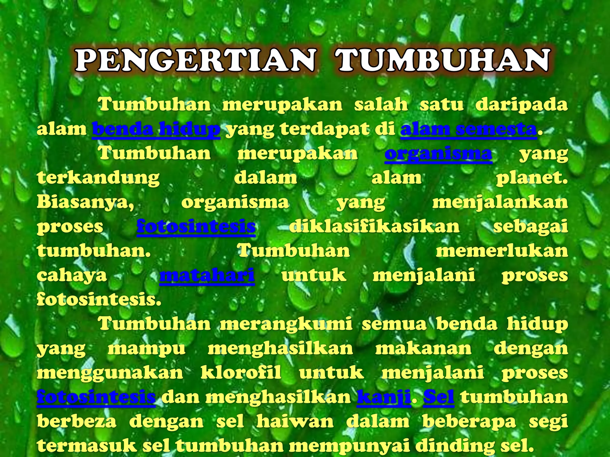 Organisasi Tumbuhan (Murugan Genesan DB 100739 (S4) | PPTX