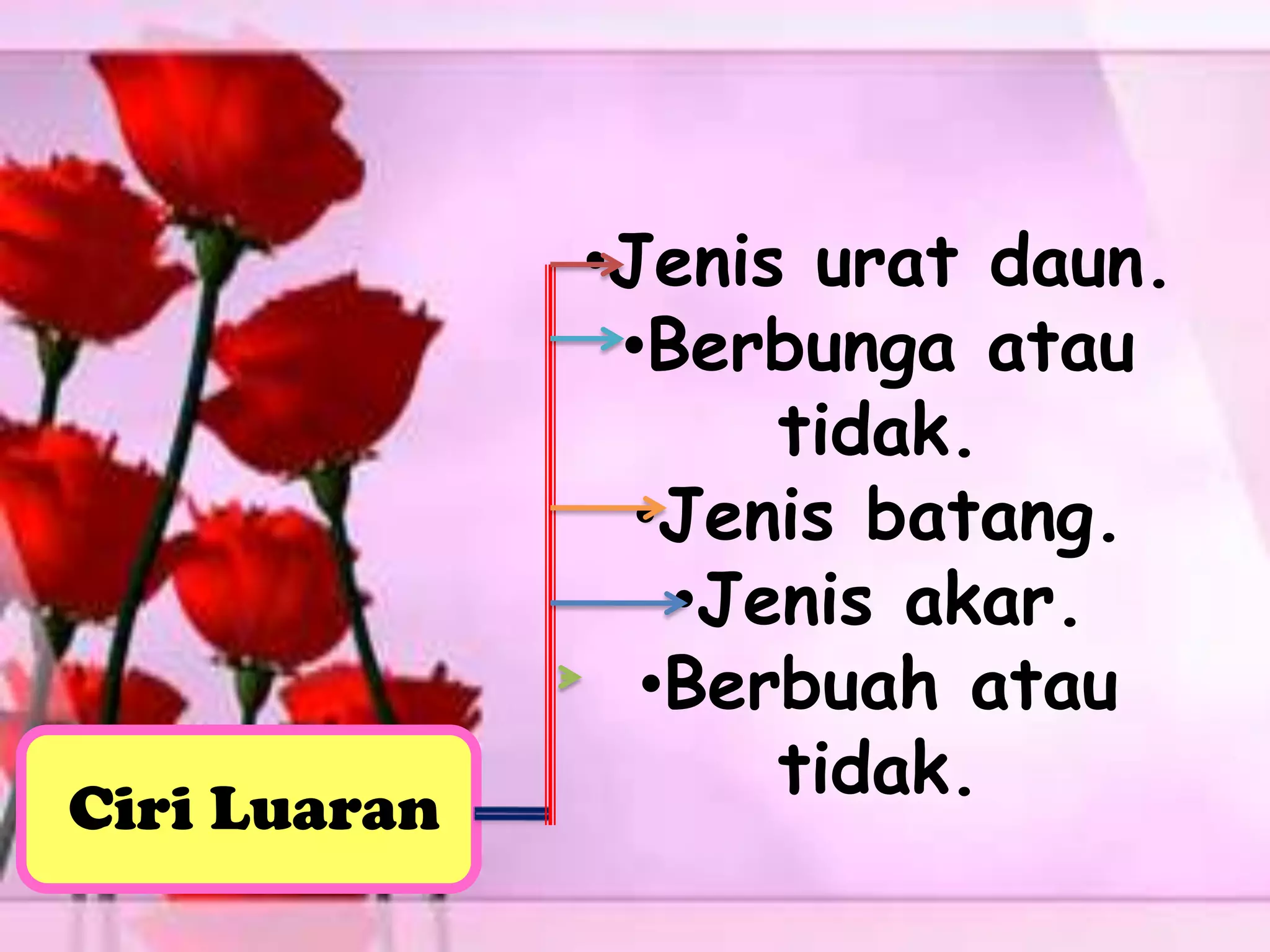 Organisasi Tumbuhan (Murugan Genesan DB 100739 (S4) | PPTX