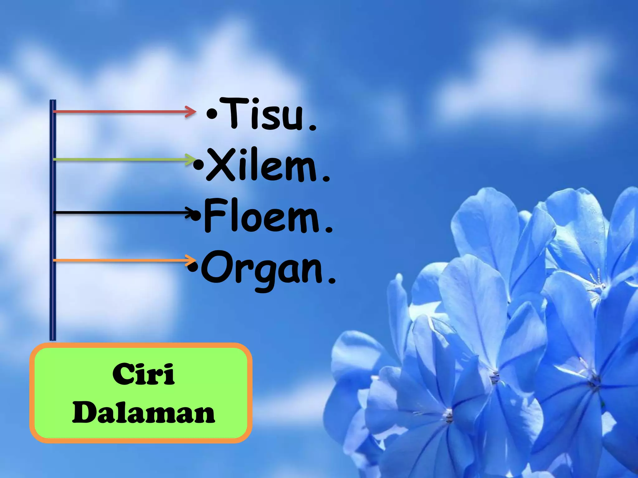 Organisasi Tumbuhan (Murugan Genesan DB 100739 (S4) | PPTX