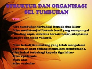 Organisasi Tumbuhan (Murugan Genesan DB 100739 (S4) | PPTX