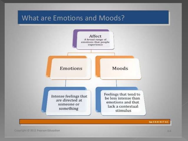 TOPIC:ATTITUDES AND VALUES, EMOTIONS AND MOODS, LEARNING | PPT