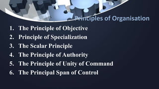 Organisation | PPTX