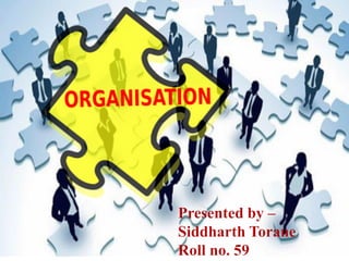 Organization | PPT