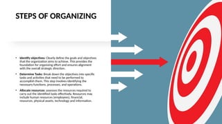 organisation in an organisation for managers and students .pptx