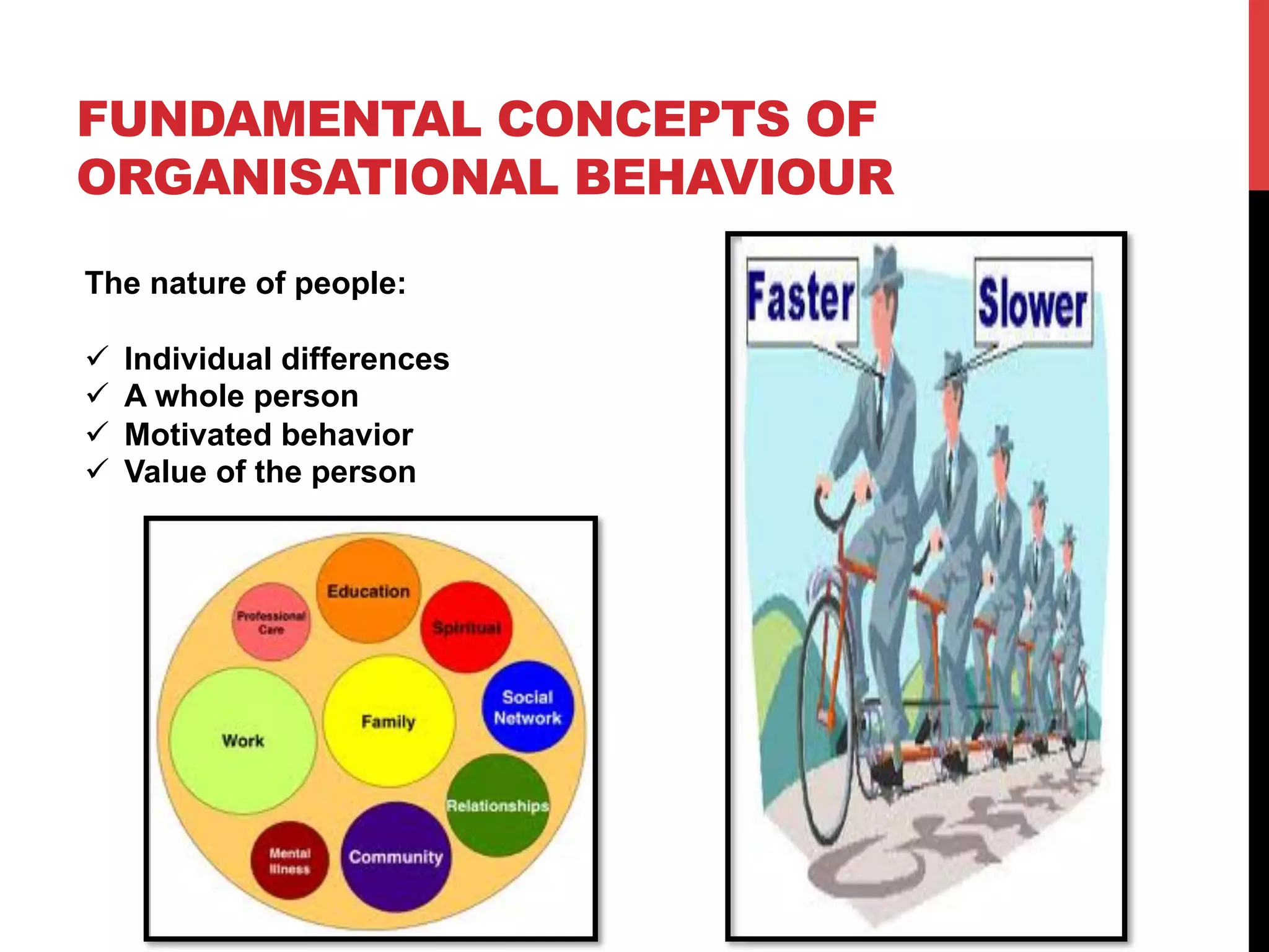 Organisational behavior | PDF