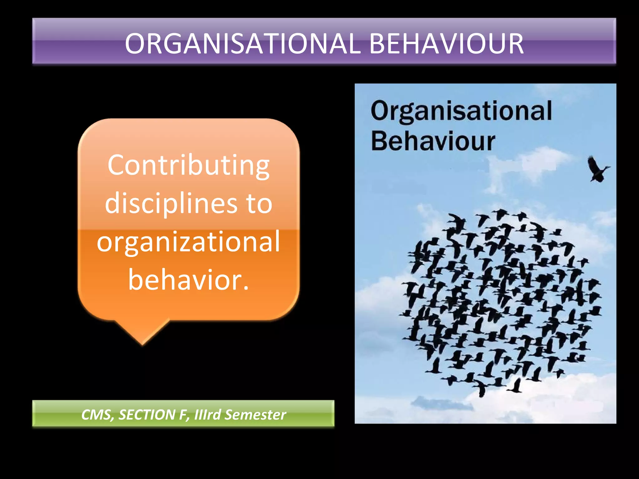 Organisational behaviour | PPT