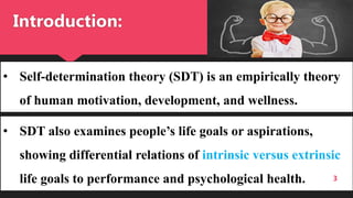 Organisational Behaviour- Self Determination Theory (SDT)- MBA | PPTX