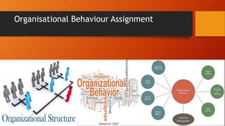 Organisational Behaviour Assignment 4.pptx