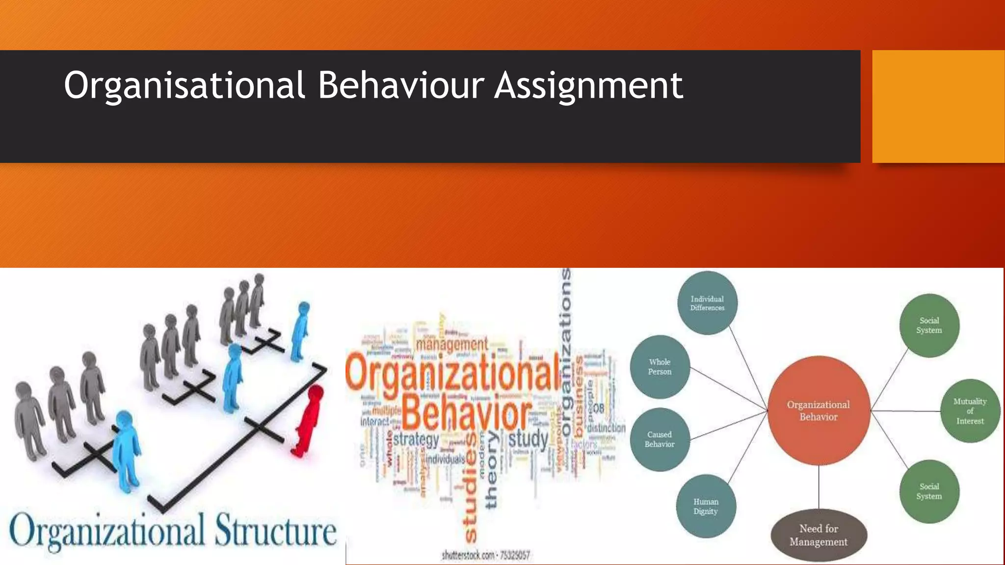 Organisational Behaviour Assignment 4.pptx