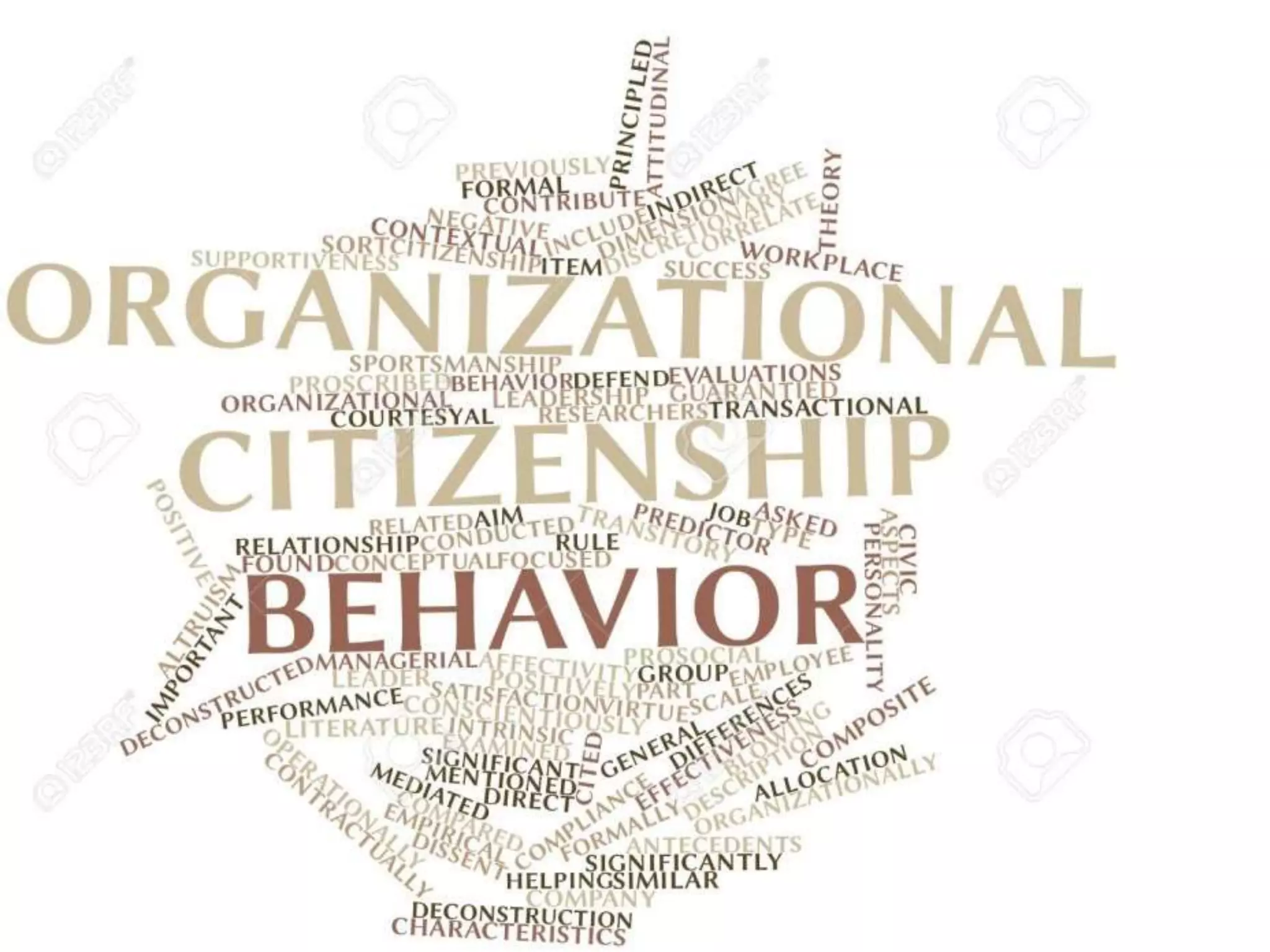 Organisational citizenship behaviour | PPTX