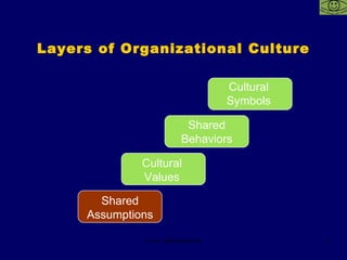 Organisational Culture | ODP