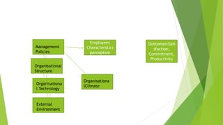 Organisational Culture and Climate.pptx