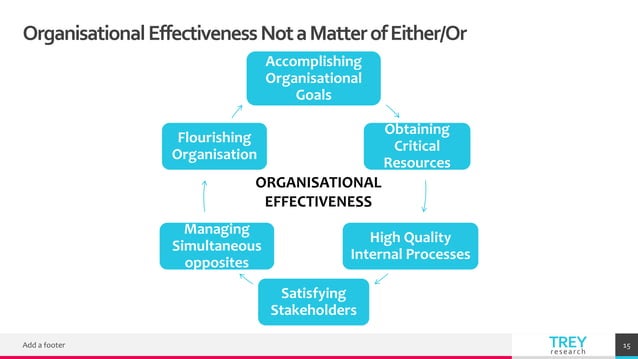 ORGANISATIONAL EFFECTIVENESS ASSESSMENT SLIDES (1).pptx