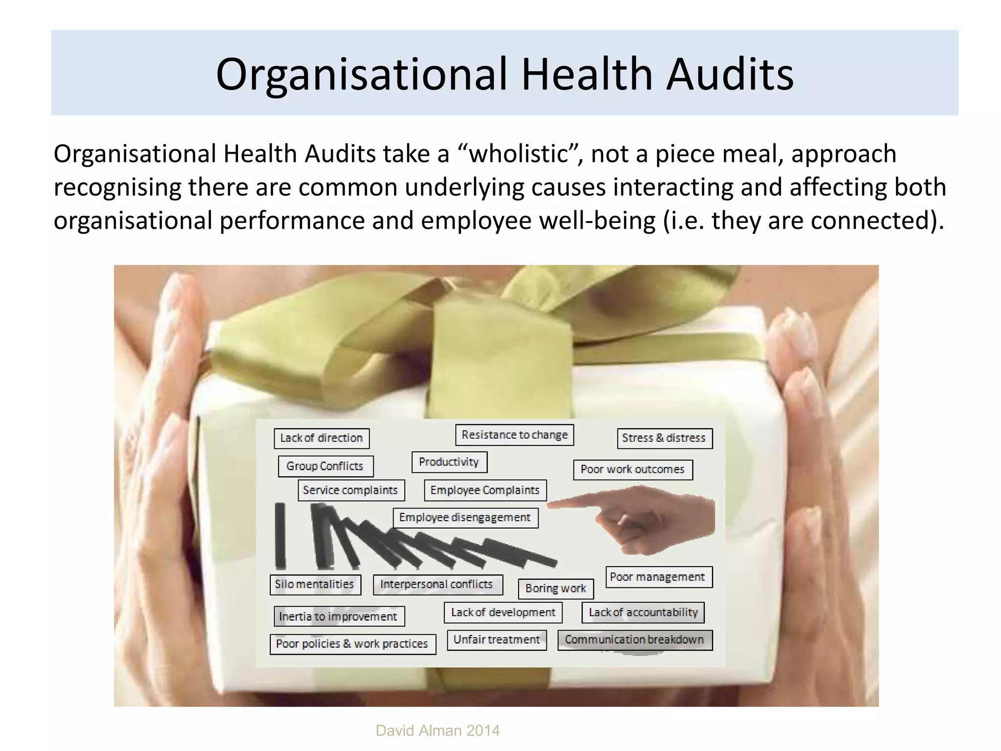 Organisational Health Audits | PDF