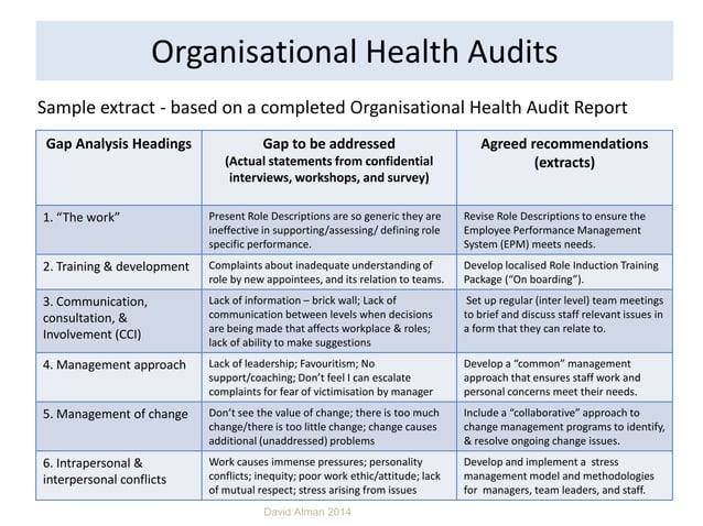 Organisational Health Audits | PDF