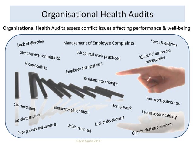 Organisational Health Audits | PDF