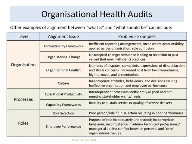 Organisational Health Audits | PDF