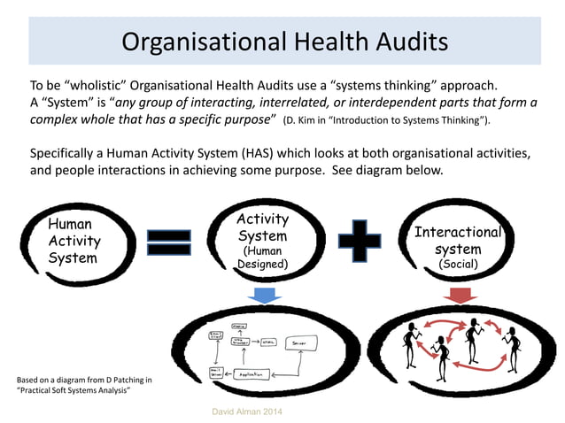 Organisational Health Audits | PDF