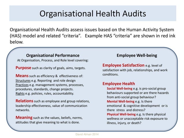 Organisational Health Audits | PDF
