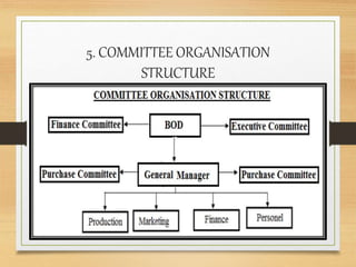 Organisational structure | PPTX