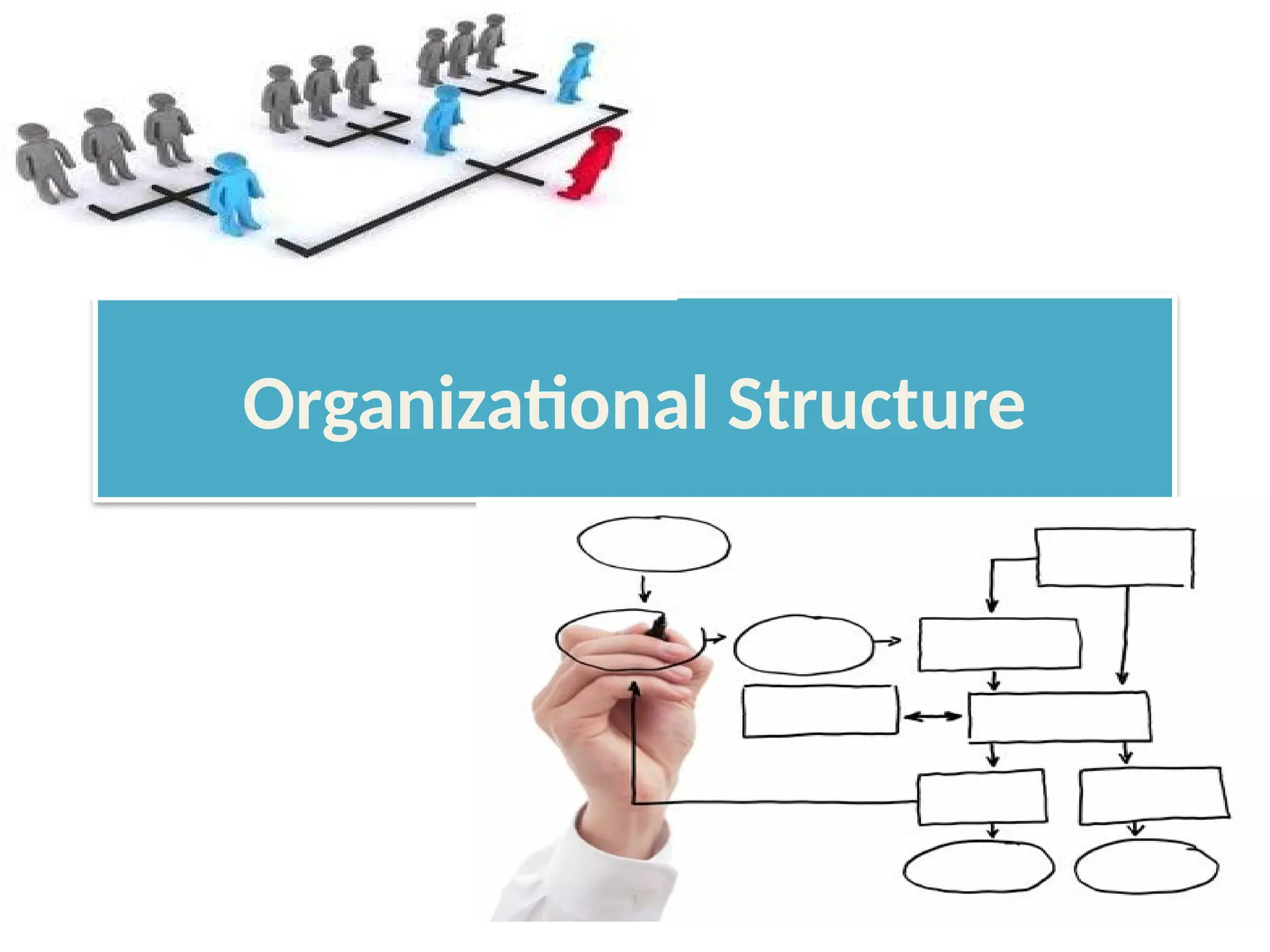 Organisational Structure with advantages and disadvantages. | PPT