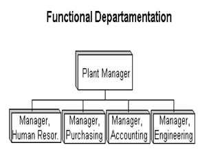 Organisational Structure with advantages and disadvantages. | PPT