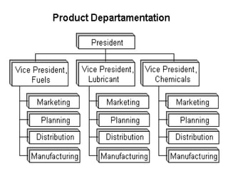 Organisational Structure with advantages and disadvantages. | PPT