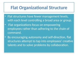 Organisational Structure with advantages and disadvantages. | PPT