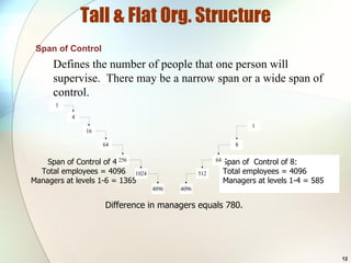 Organisational Structure And Hrm 171 | PPT